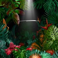 Navazesh | TikTok Music Search