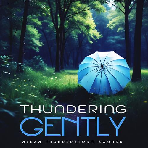 Comet Wellbeing Official TikTok Music - Alexa Thunderstorm Sounds ...